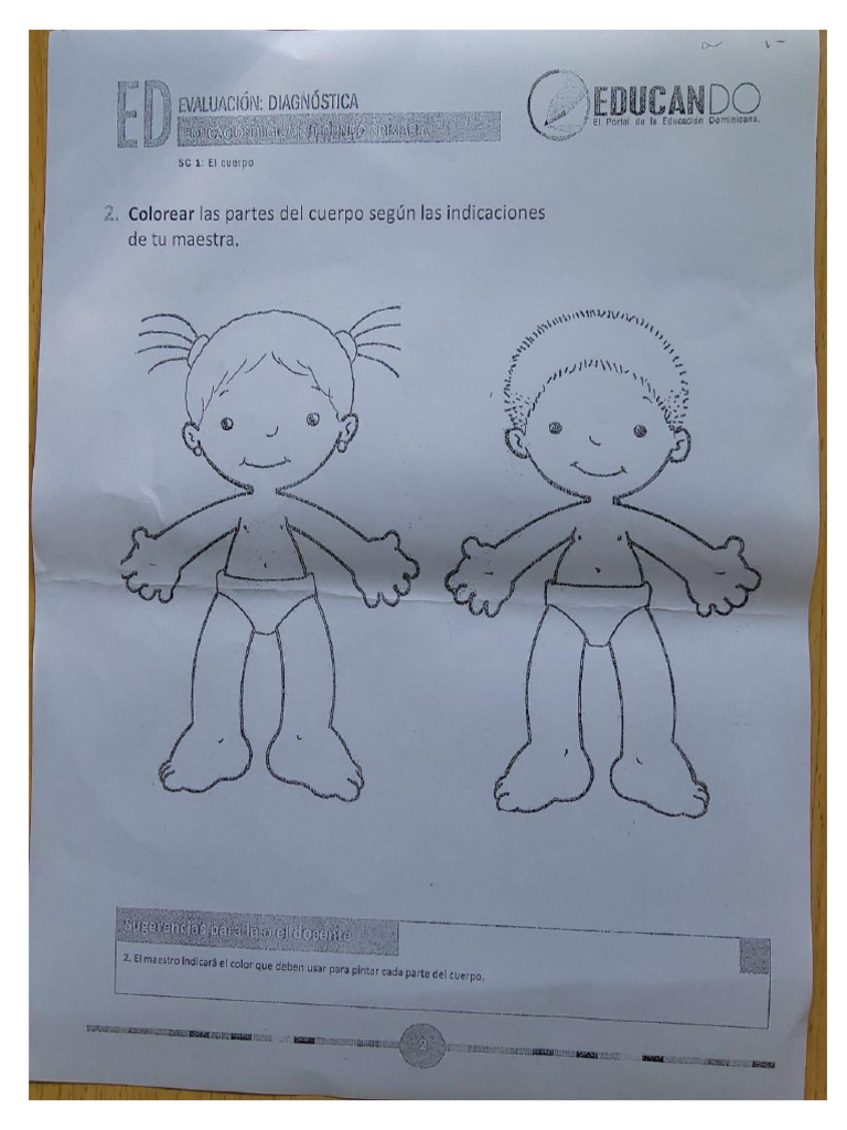 Evaluacion Diagnostica 1ero Primaria | PDF