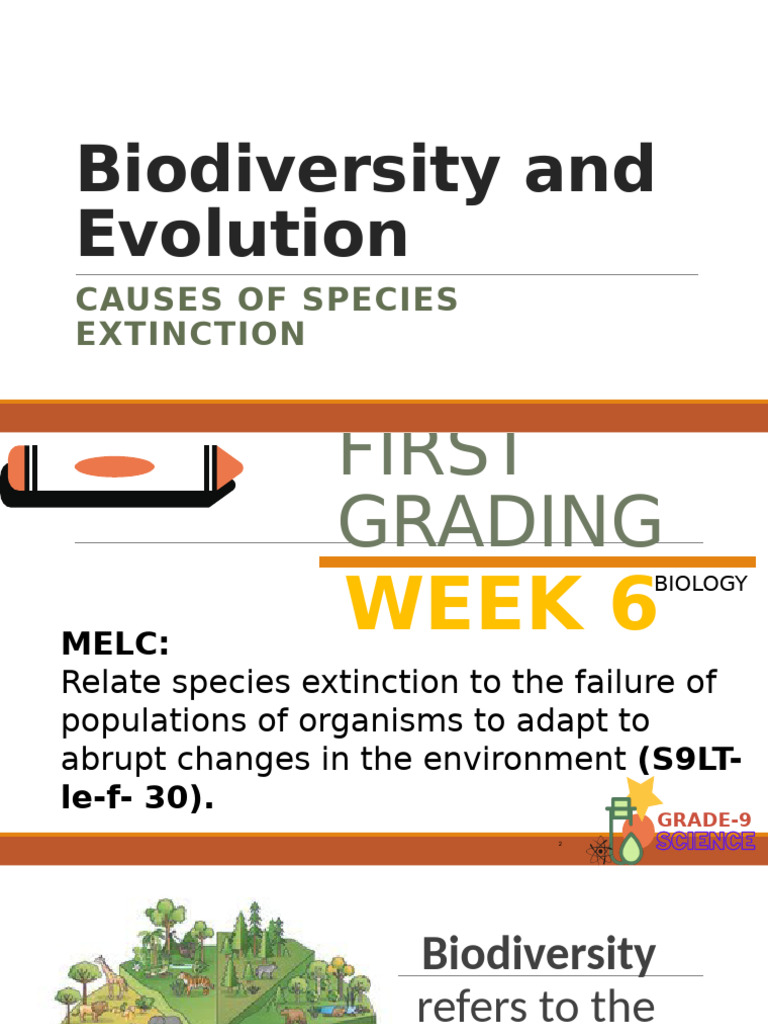 Biodiversity Pdf Extinction Habitat