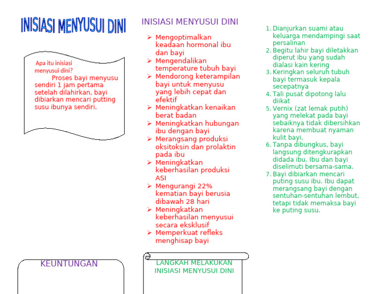 Leaflet_inisiasi_menyusui_dini | PDF