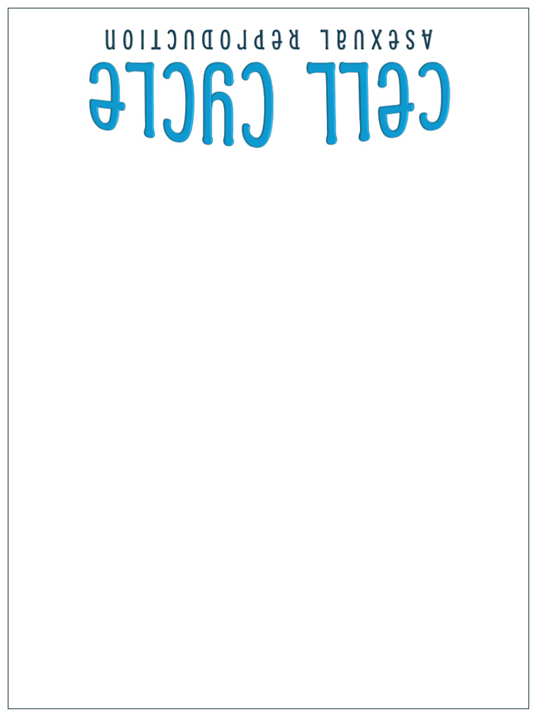 Cell Cycle Foldable Book | PDF | Cell Cycle | Mitosis