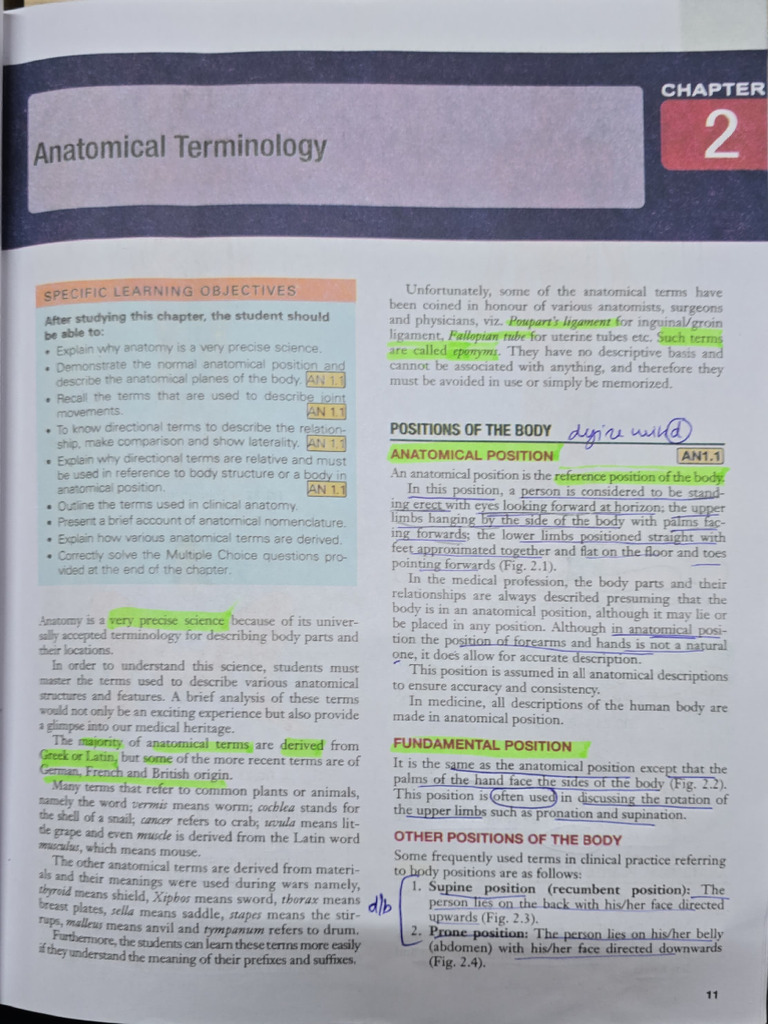 ANATOMY PCT Markings Kartik 2nd Year 2 | PDF