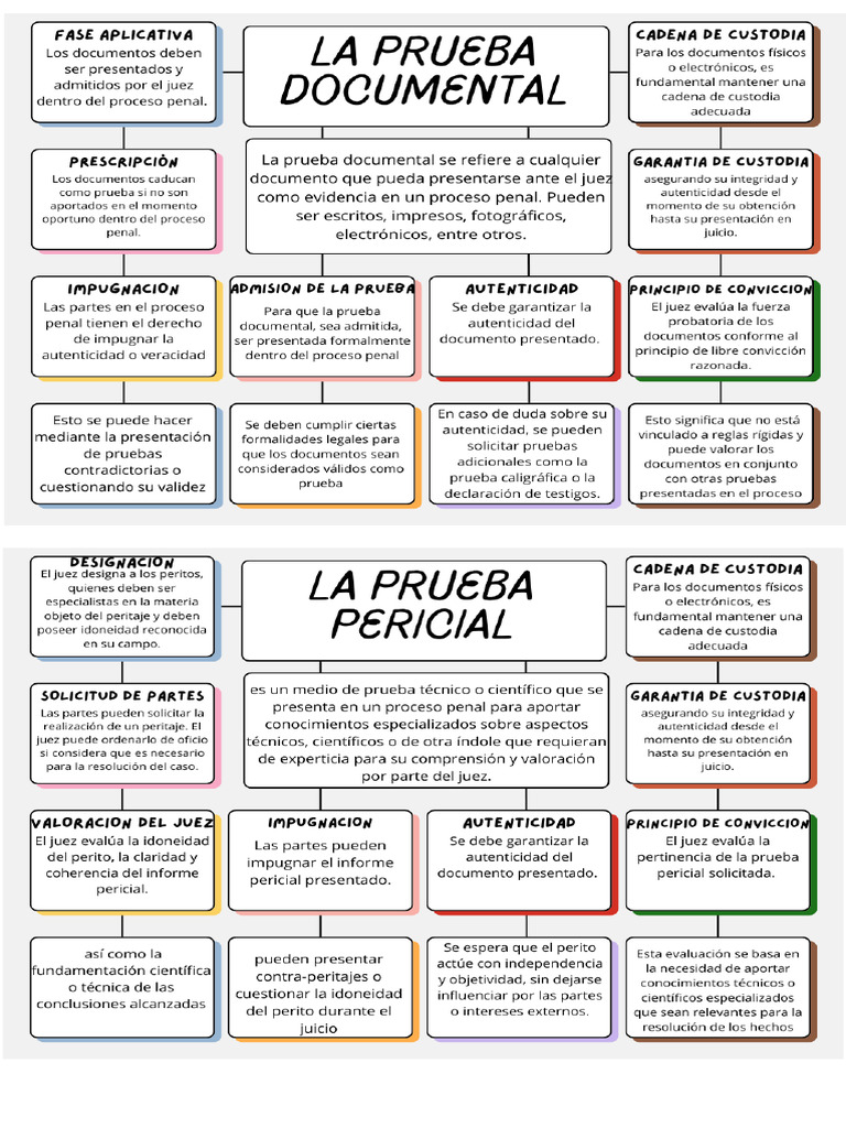 Prueba Documental y Pericial | PDF