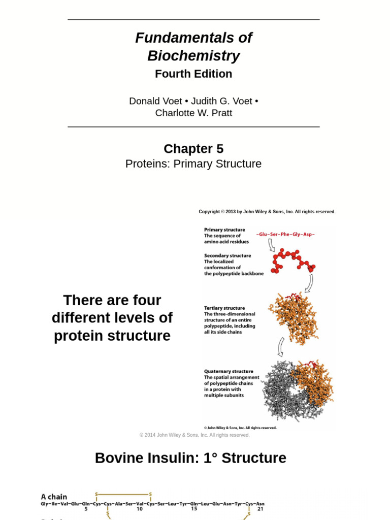 Chapter 5 Protein Primary Structure | PDF | Gel Electrophoresis | Elisa