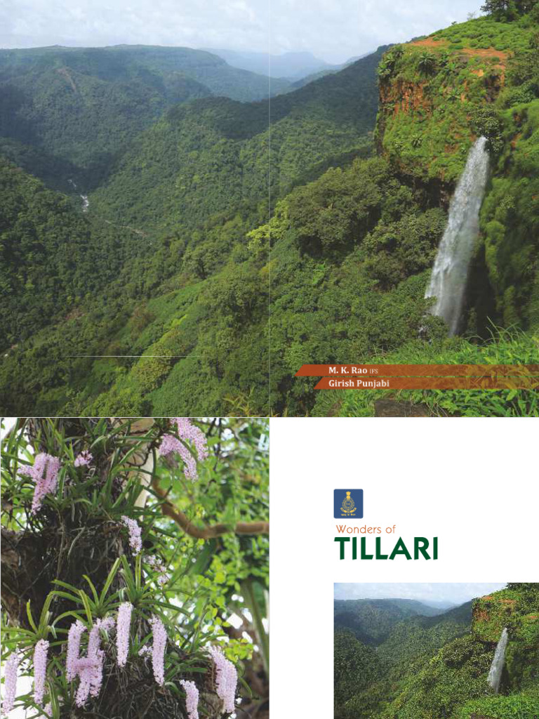 Wonders of Tillari | PDF