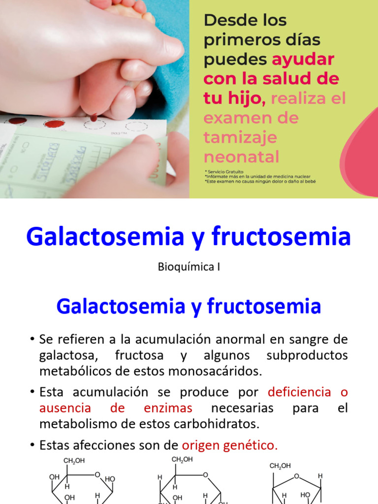 Galactosemia y fructosemia: causas y síntomas | PDF | Sacarosa