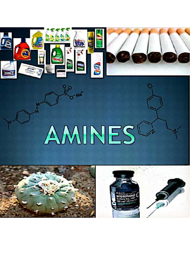 Amines | PDF