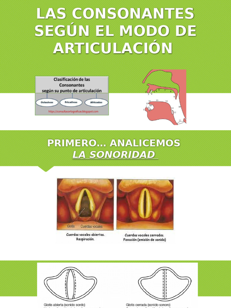 Tema 9 - Las Consonantes Según El Modo de Articulación | PDF | Voz ...
