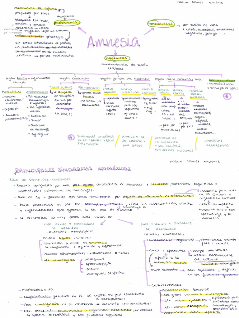 Tema 7 Ap y Mem Amnesia y Síndromes Amnésicos | PDF