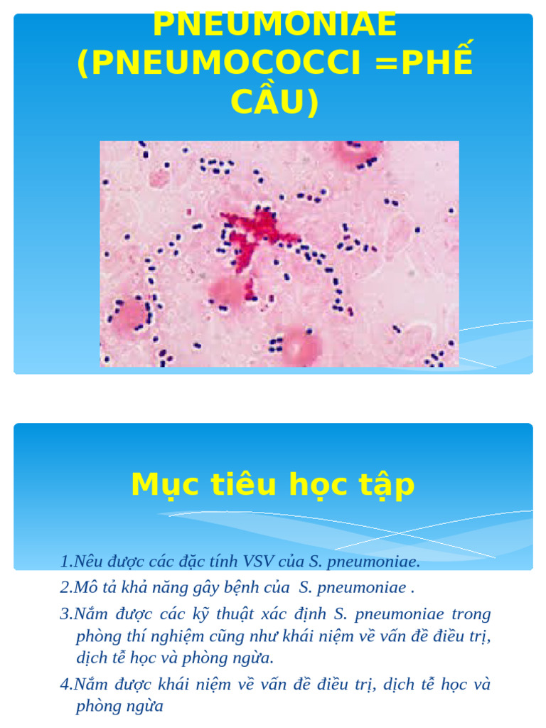 Bài 3.3 Pneumococci | PDF