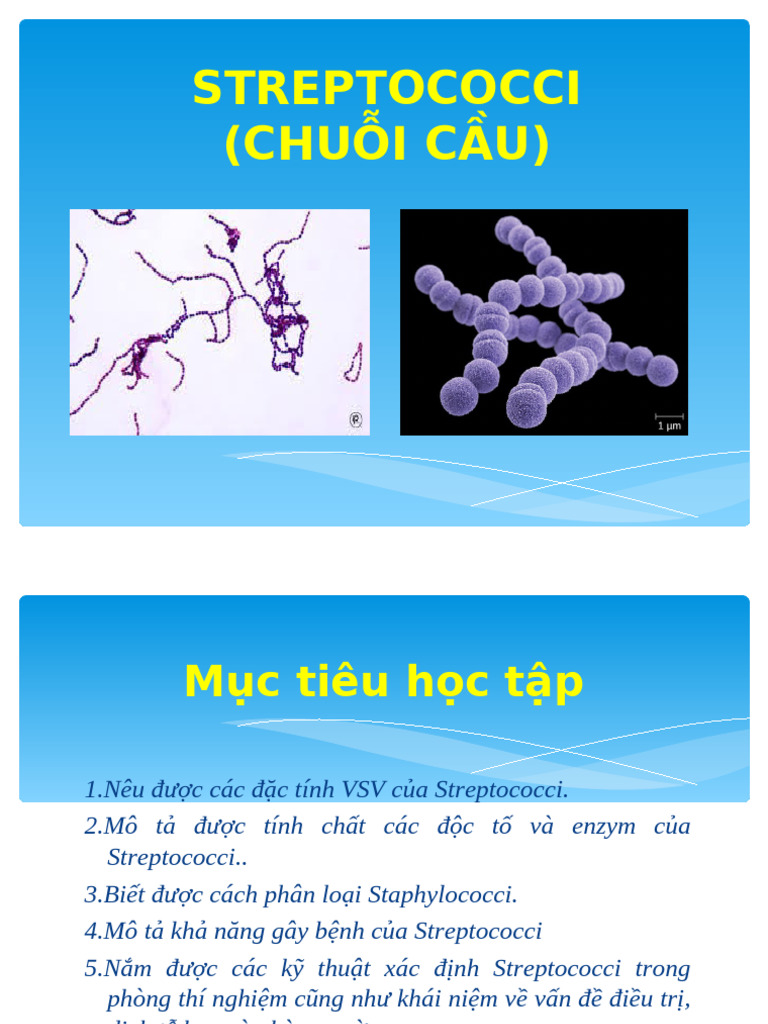 Bài 3.2 Streptococci | PDF