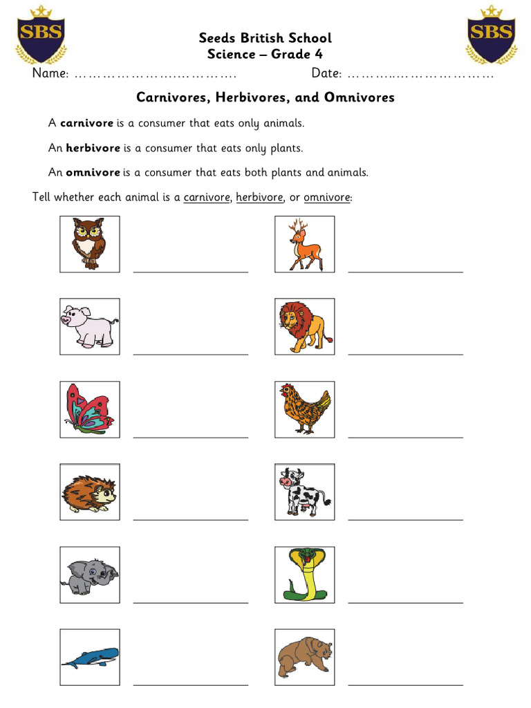 Carnivores, Herbivores, and Omnivores Worksheet | PDF