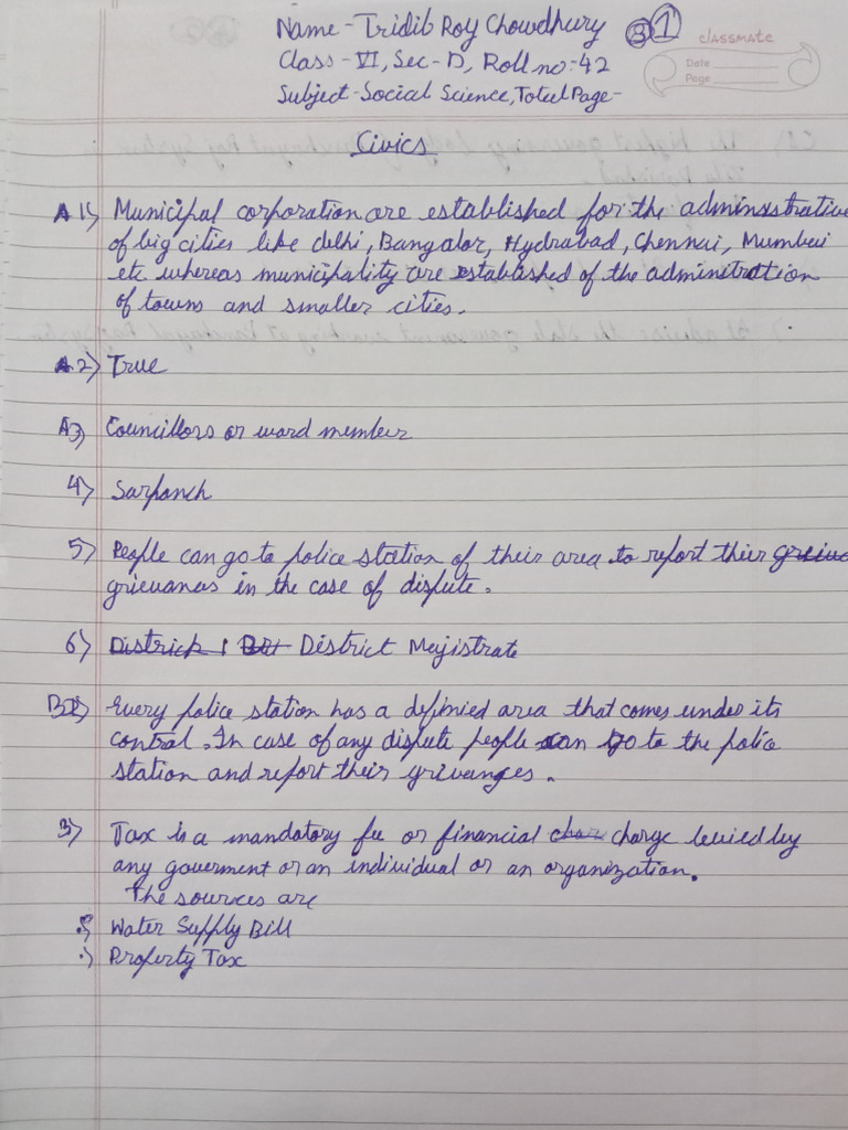 42 Tridib Roy Chowdhury 6D Social Science | PDF