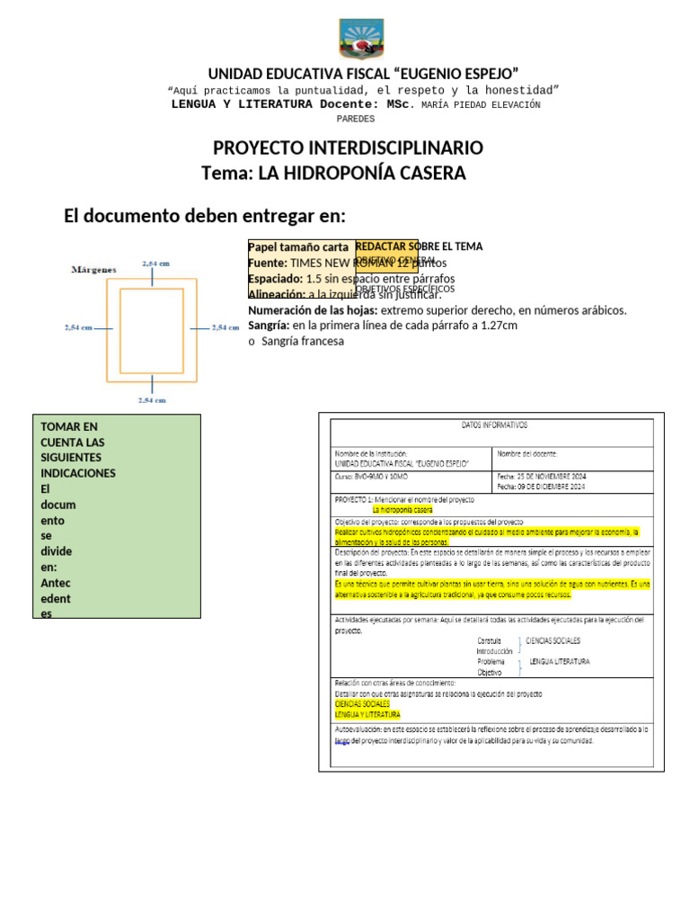 Indicaciones para La Entrega Del Proyecto Fase 1 | PDF