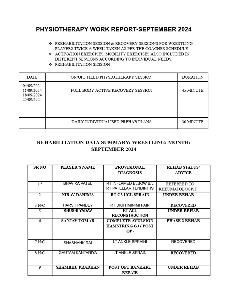 Physiotherapy Work Report-September 2024 | PDF | Physical Therapy ...