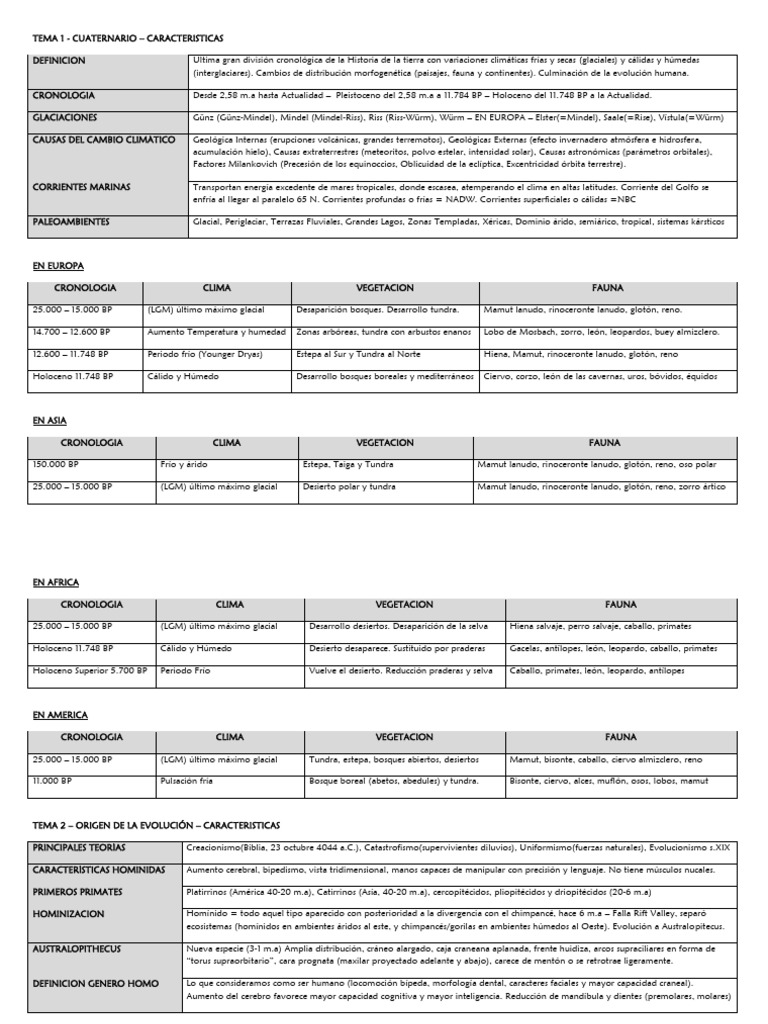 Esquema Final | PDF | neanderthal | Edad de Piedra