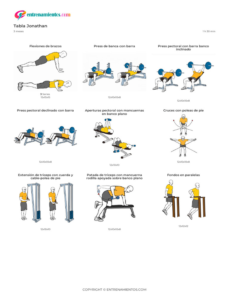 Día 1 Pecho - Triceps | PDF