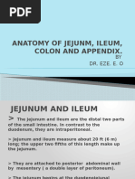 Sigmoid Colon Length and Anatomy | PDF | Large Intestine | Rectum