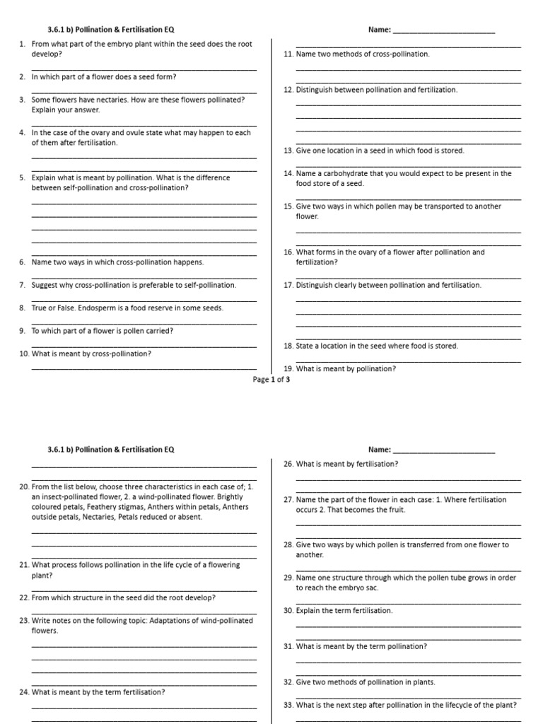 Pollination Fertilisation Worksheet | PDF | Flowers | Pollination