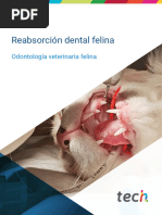 Anatomía de la lengua y paladar en animales | PDF | Lengua | Boca