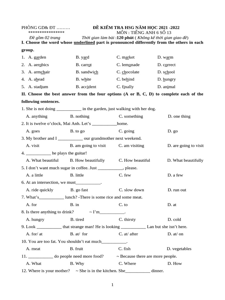 Đề Hsg Anh 6 Sô 13 | PDF | Vietnam