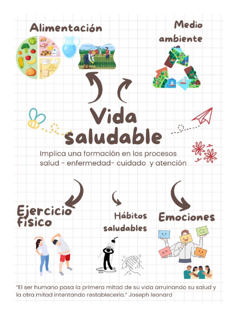 Esquema Del Eje Articulador Vida Saludable | PDF