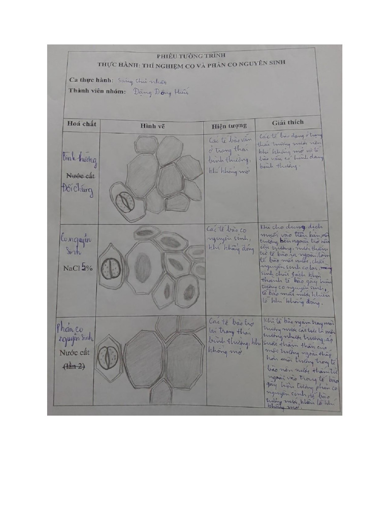 Đặng Đông Hiếu - 47.01.301.048 | PDF