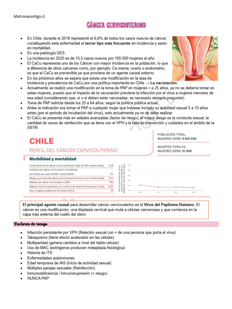 Clase de Cáncer Cervicouterino | PDF | Cáncer | Cáncer de cuello uterino
