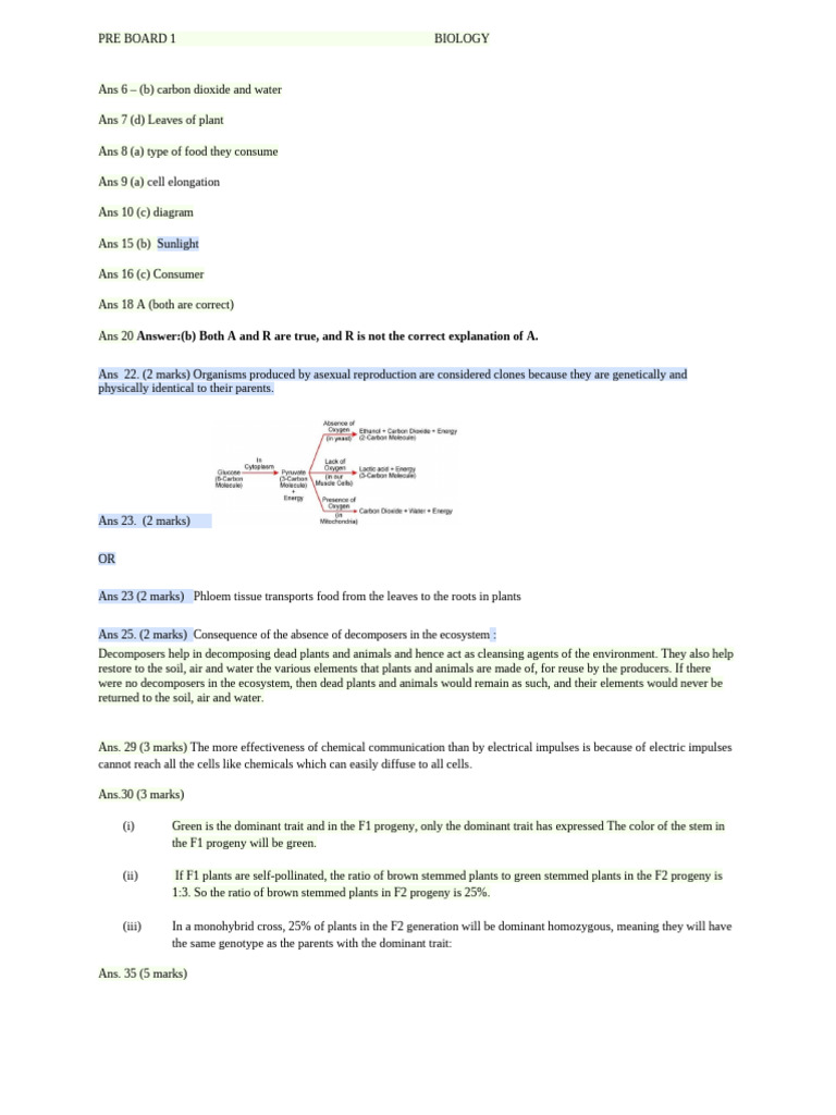 Biology Exam Answer Key | PDF | Pollination | Flowers