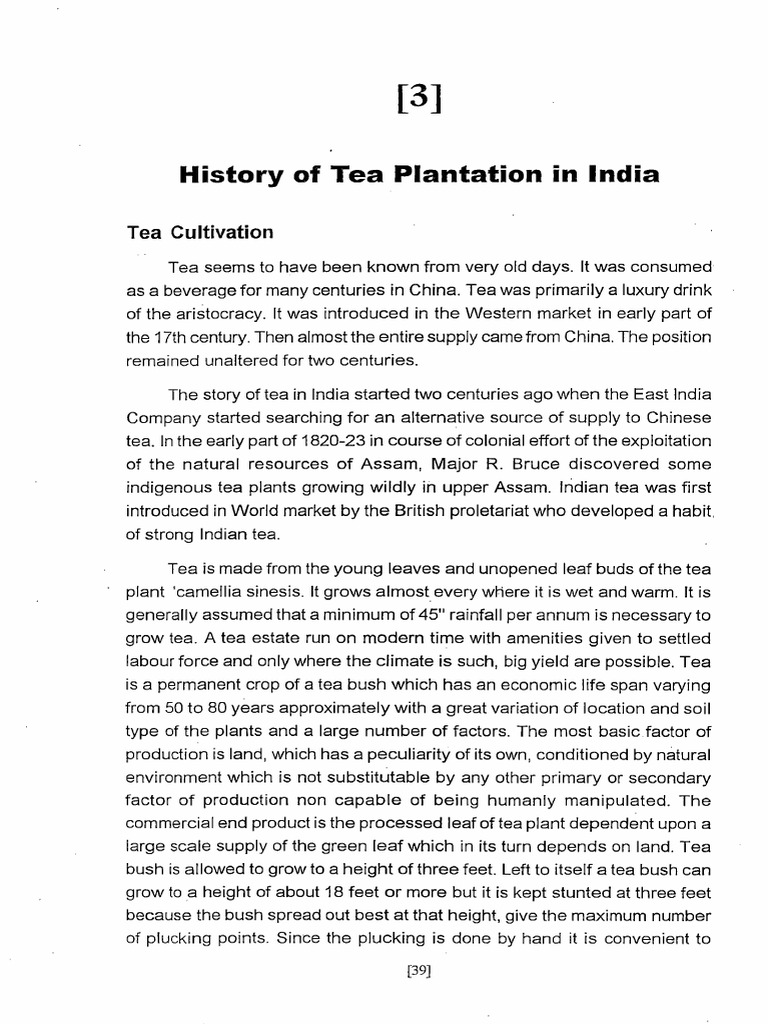 History of Tea Plantation | PDF | Tea | Hot Drinks