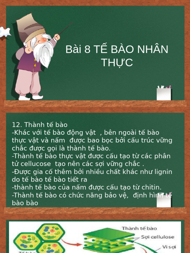 Cartoon Cute Blackboard Teaching Plan-WPS Office | PDF
