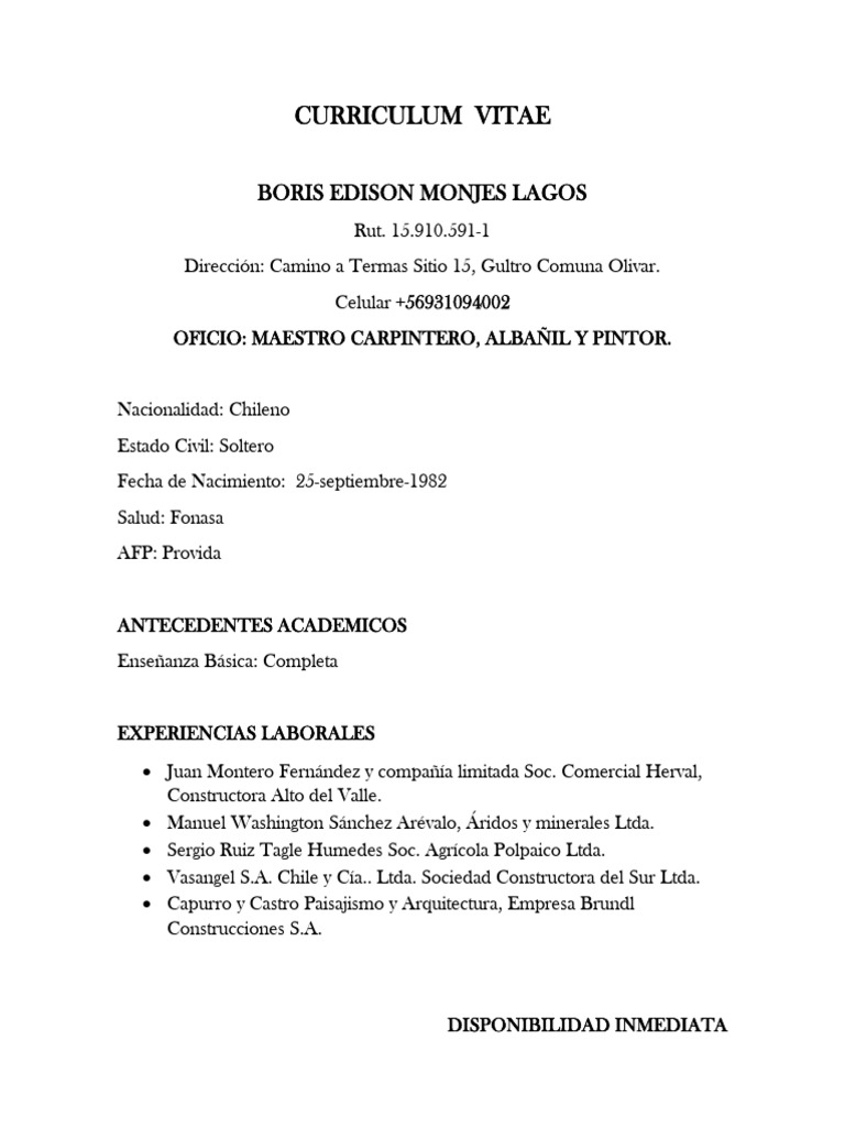 Cv. Boris Monjes | PDF