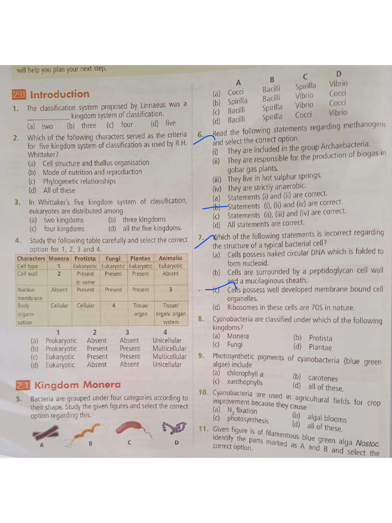 Class XI Chapter 2 Biological Classification | PDF