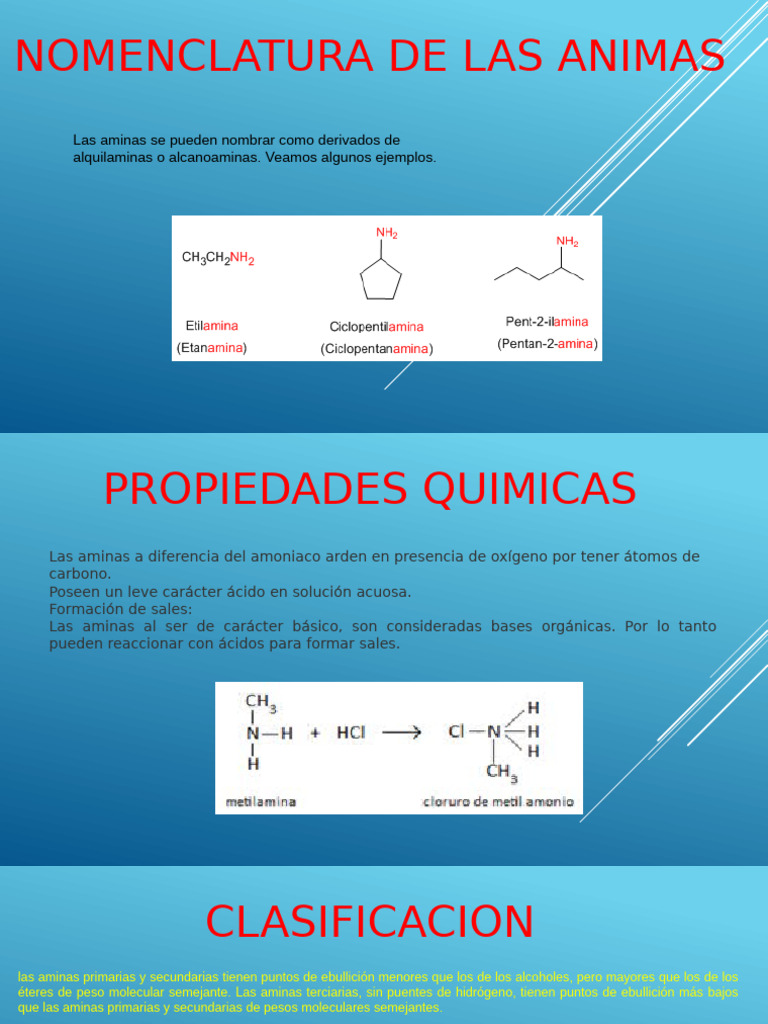 Propiedades y Clasificación de Aminas | PDF