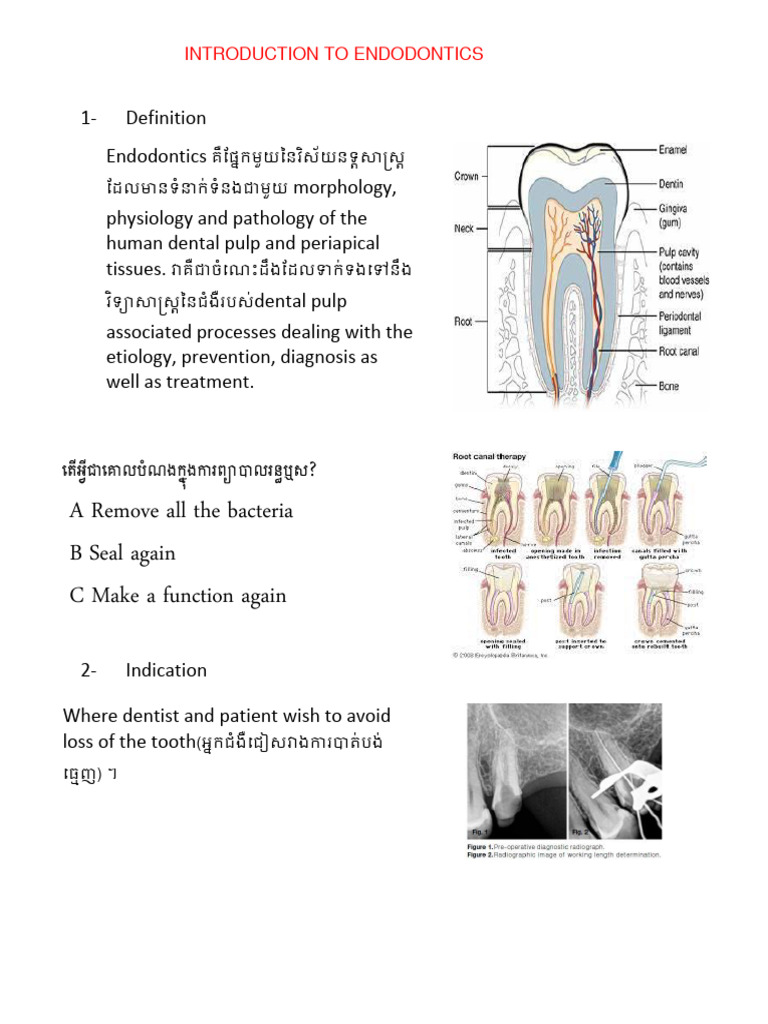 Introduction To Endodontics - 1 | PDF