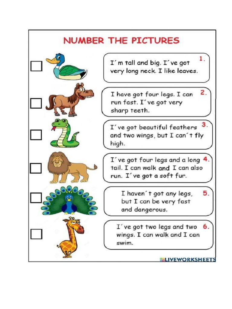 Animals Guessing Game 3 | PDF