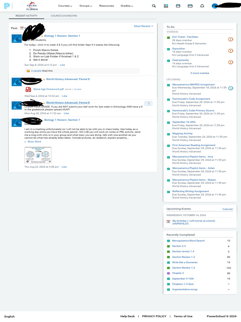 Home Schoology 3 | PDF
