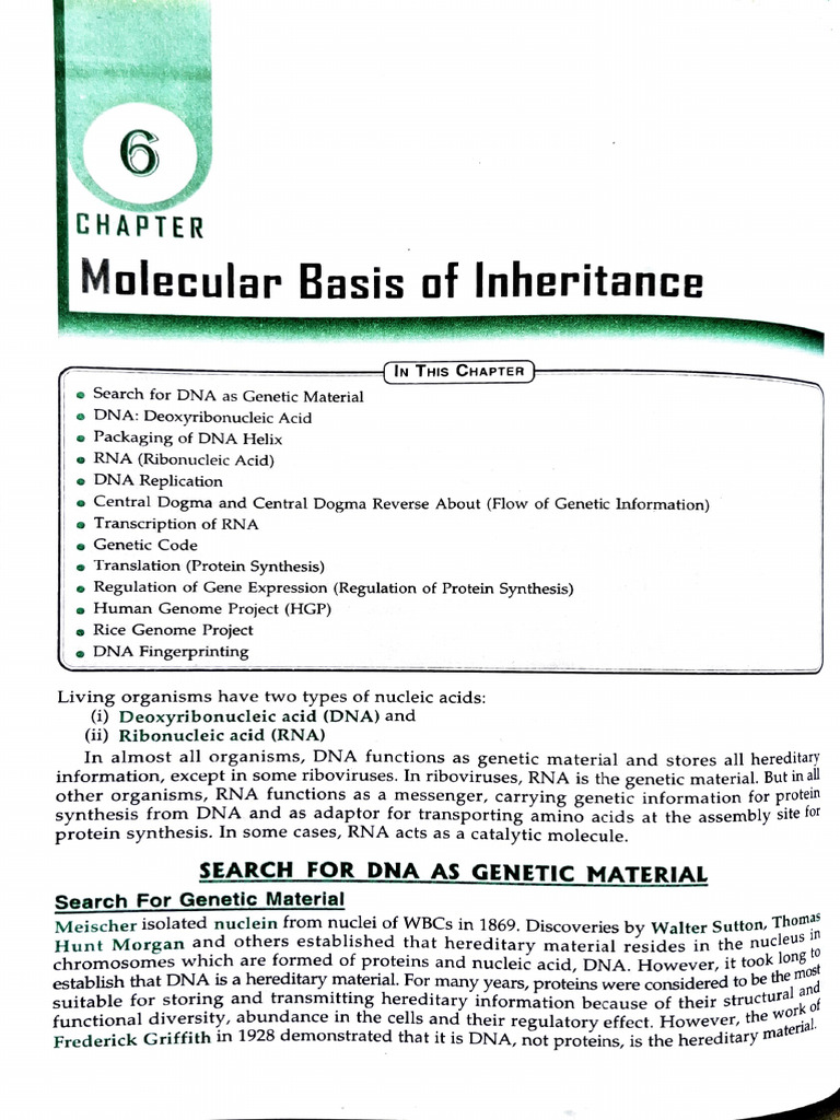 Molecular Basis of Inheritance, Veer Bala Rastogi | PDF