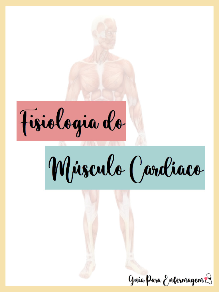 Estrutura e Função do Músculo Cardíaco | PDF | Coração | Fisiologia