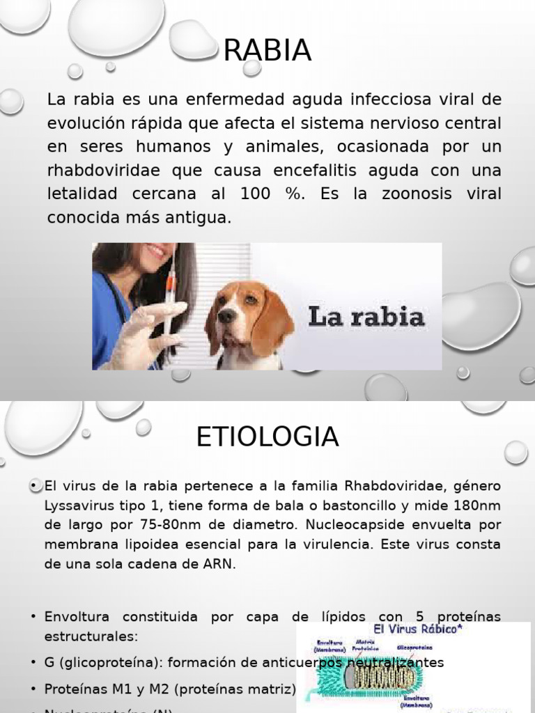 RABIA | PDF | Rabia | Especialidades Medicas