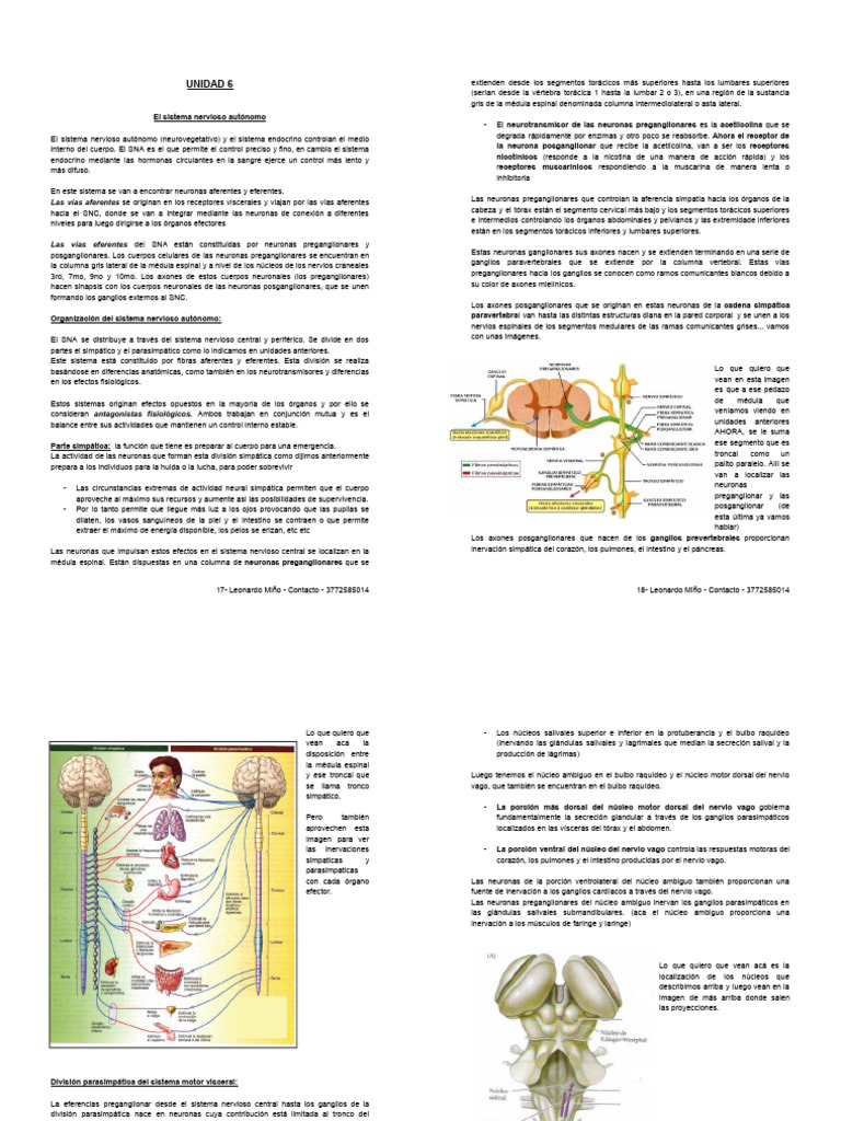 NEURO 2do Parcial | PDF | Dolor | Nervio