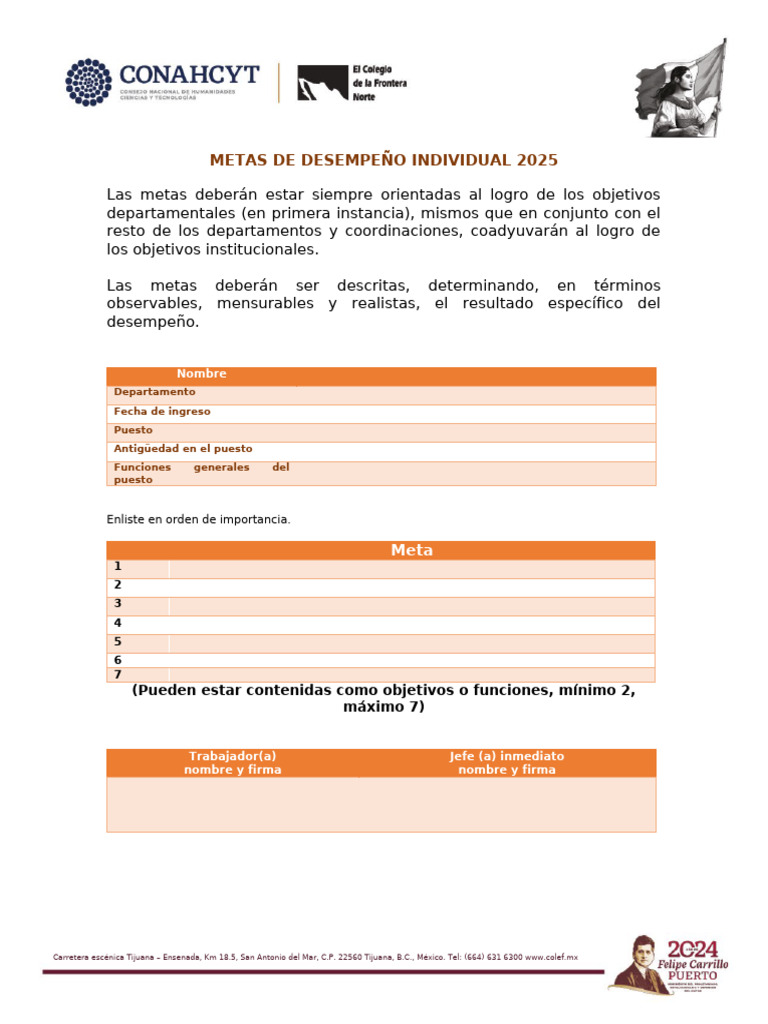 Formato de Metas 2025(1) | PDF