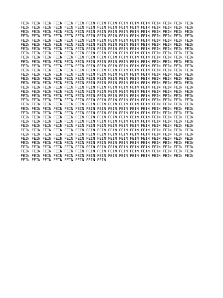 FEIN FEIN FEIN | PDF