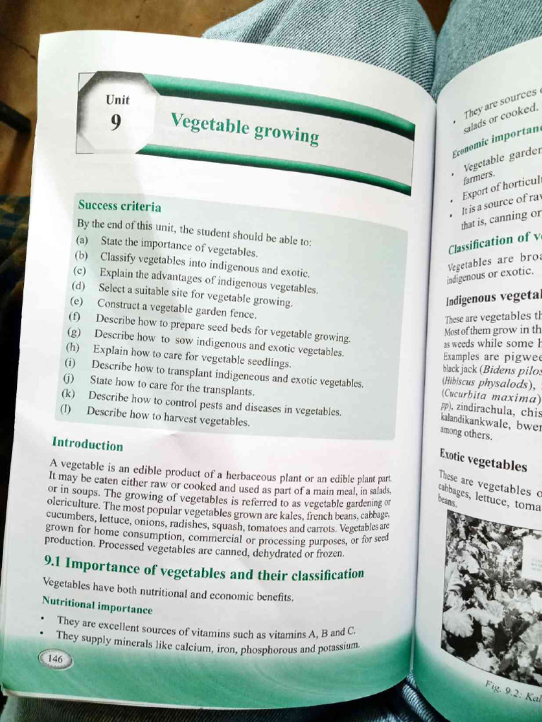 Unit 9 - Vegetable Growing | PDF