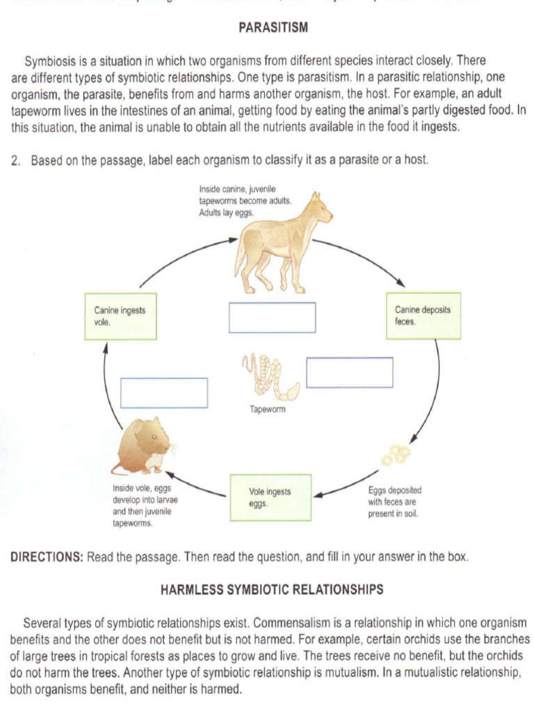 Cycle of Parasitism | PDF