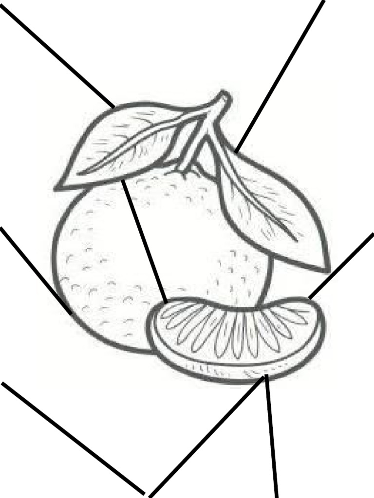 Frutas para iluminar con graficos dia de la alimentacion | PDF