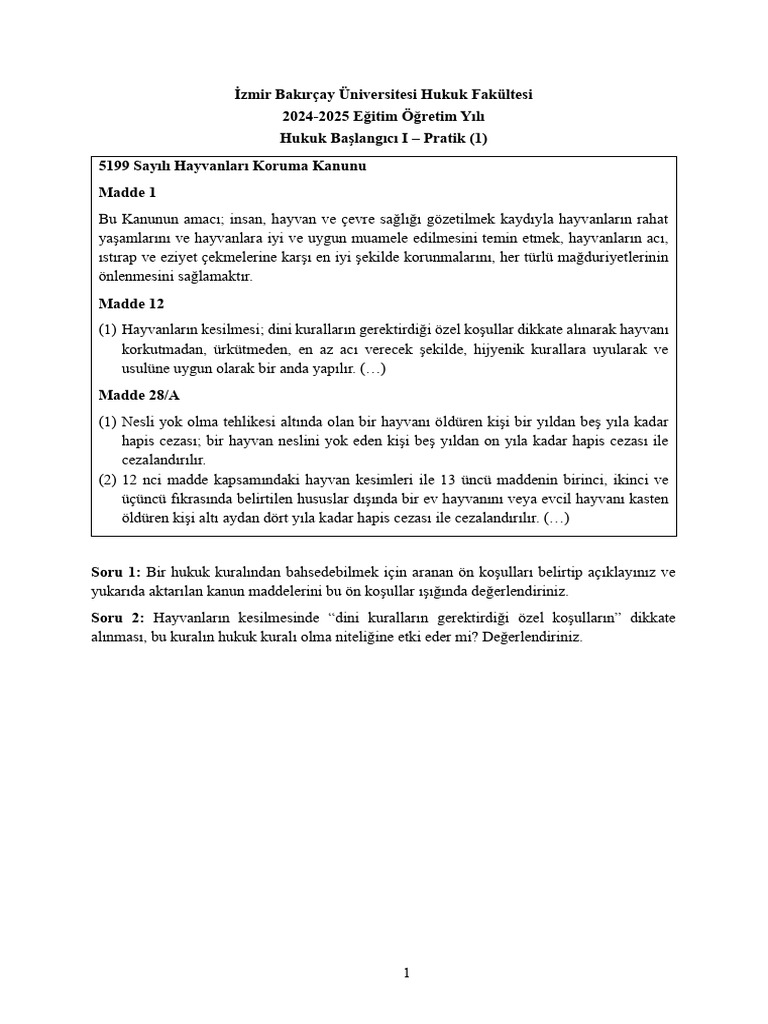 Hukuk Basì Langici I Pratik | PDF