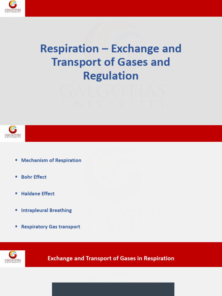 Respiration-Exchange and Transport of Gases | PDF | Breathing | Hemoglobin