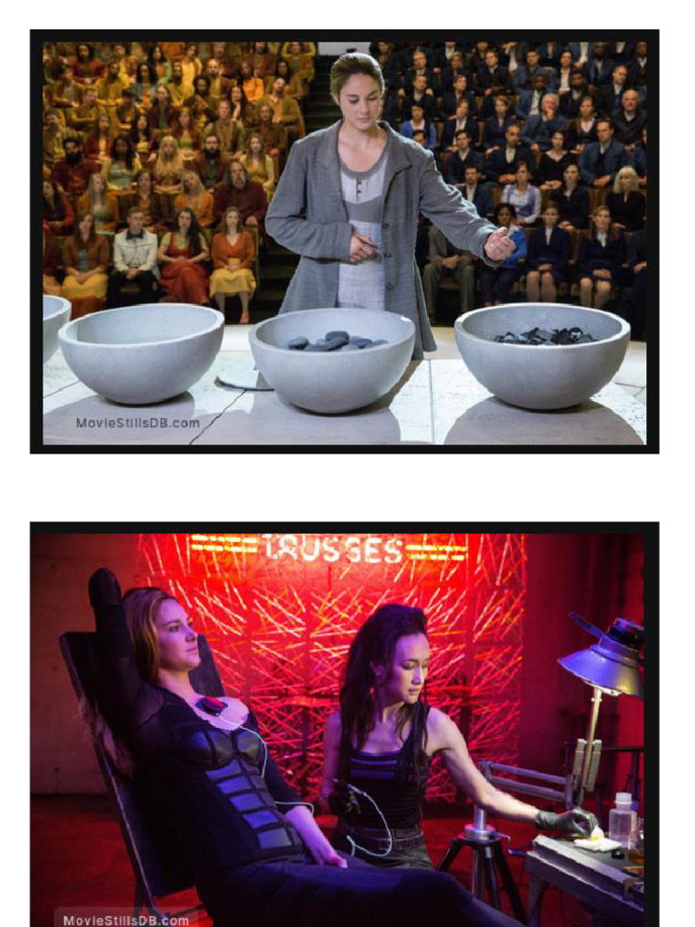 Divergent Photograms | PDF