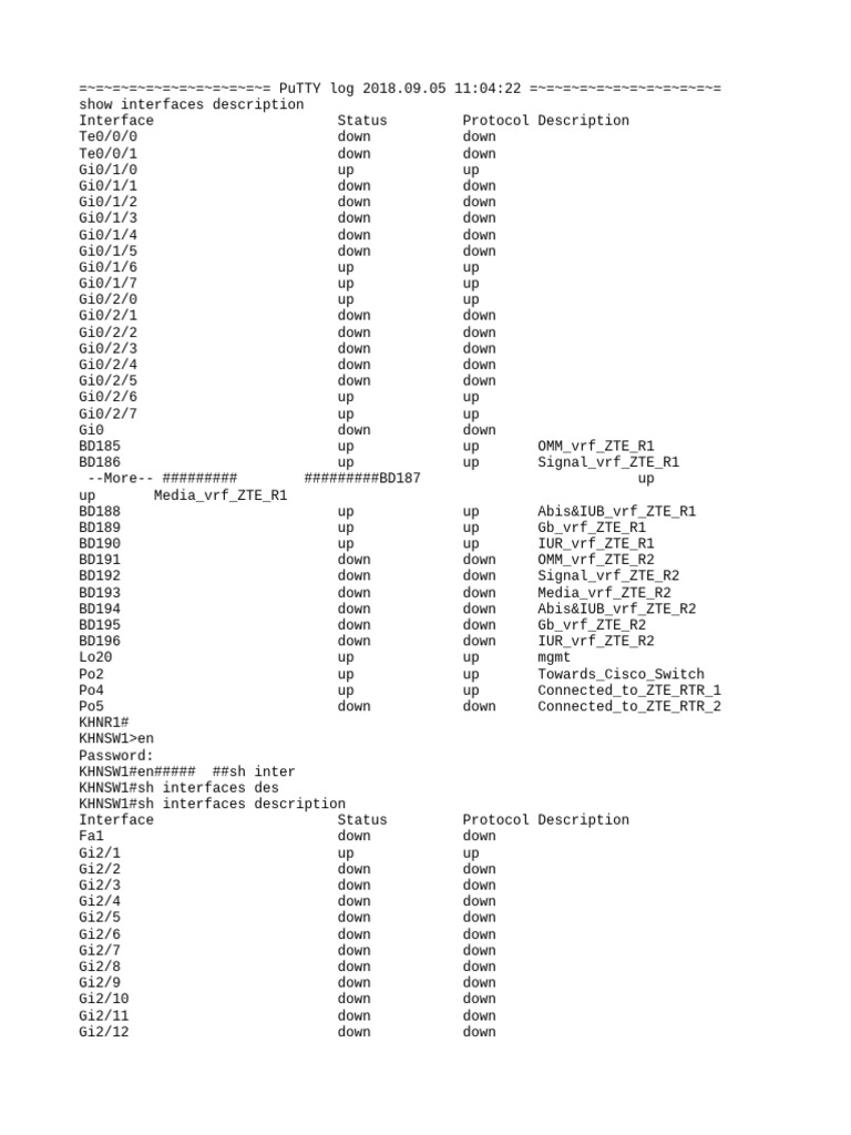 Interfaces Description | PDF | Internet Protocols | Networking Standards