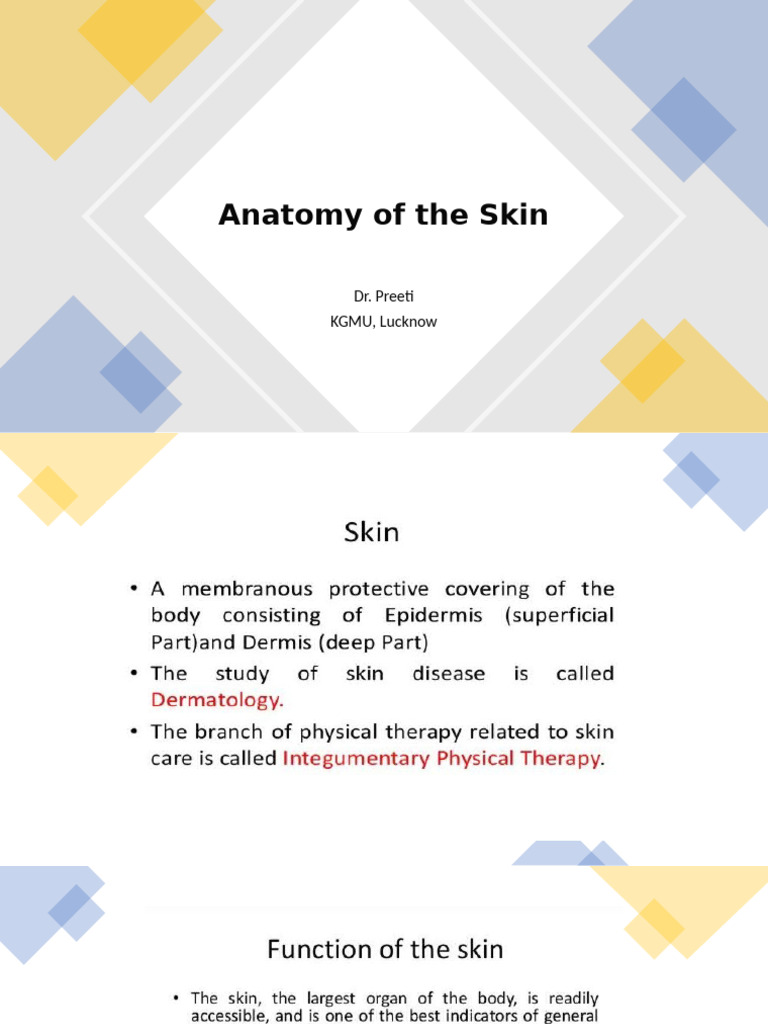 Anatomy of The Skin | PDF